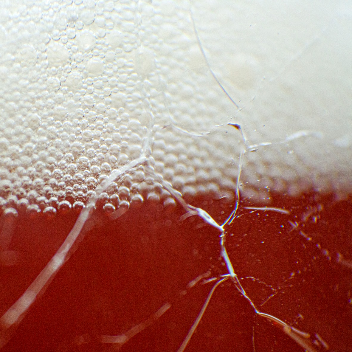 Dubuisson exige du fédéral l'uniformisation des aides - Beer.be