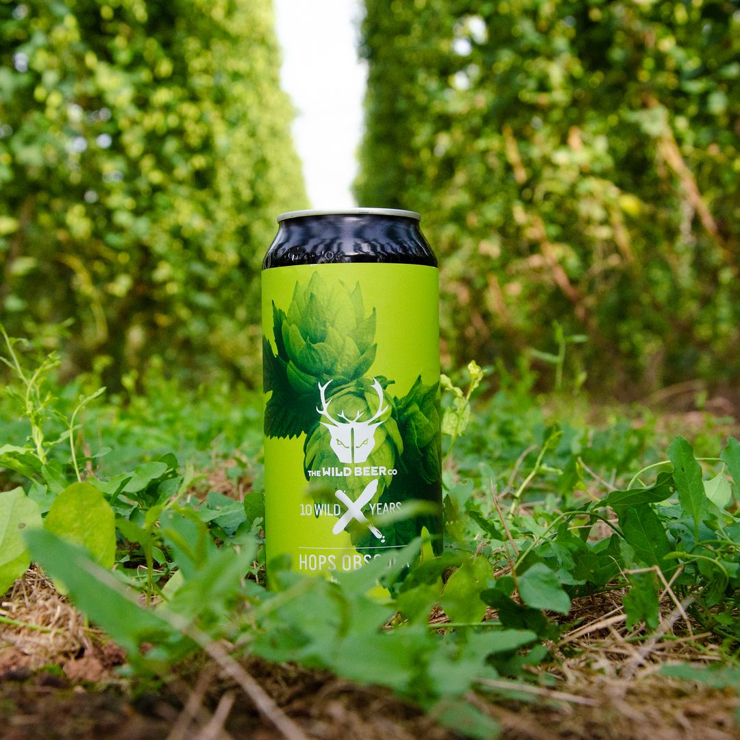 Wild Beer Co. mise en vente pour éviter sa disparition - Beer.be