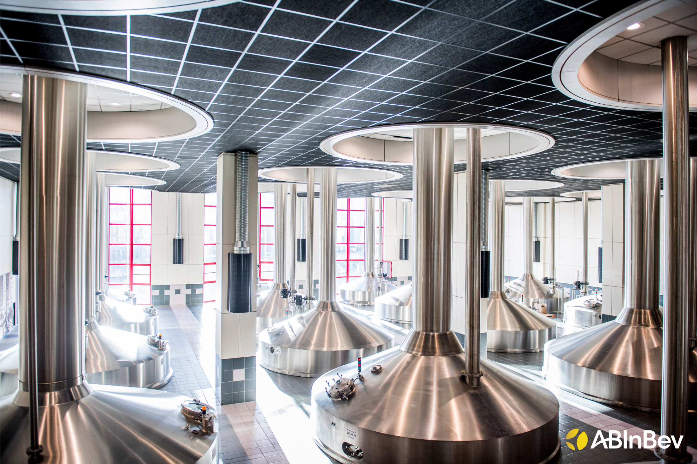 AB InBev s'offre la Ligue des Champions et investit en Belgique - Beer.be